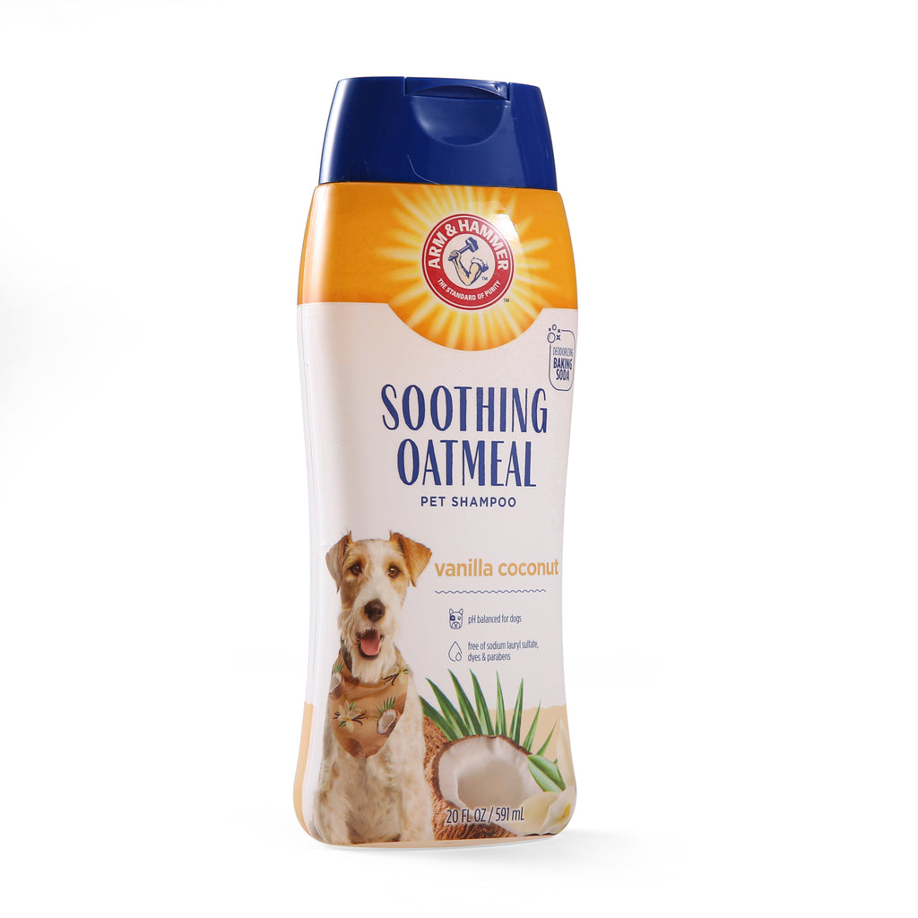 how to make homemade oatmeal dog shampoo