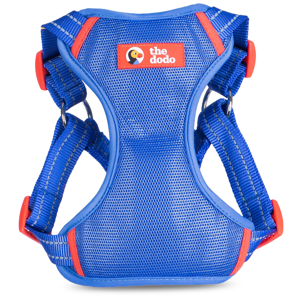 The Dodo Blue Dog Harness – Pets + People