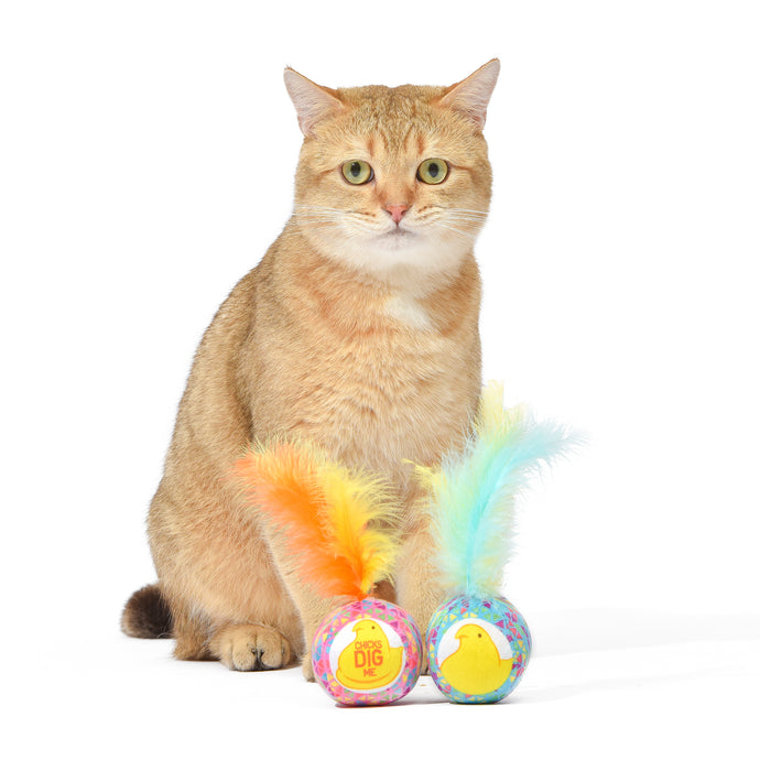 Peeps: Jingle Bell Cat Toy - 2 Pack – Pets + People