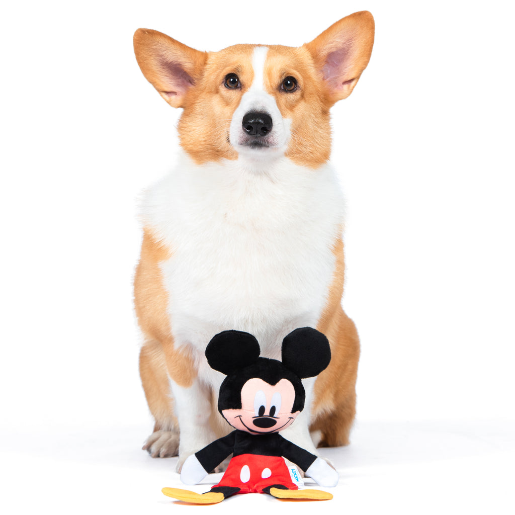 Disney for Pets Mickey Mouse Plush Squeaker with Crinkle Flattie Body ...