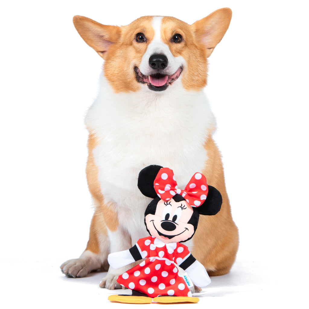 Disney for Pets Minnie Mouse Plush Squeaky with Flattie Crinkle Body D ...